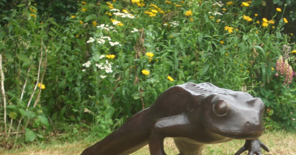 Leaping Frog bronze sculpture | Hannah Stewart Sculpture